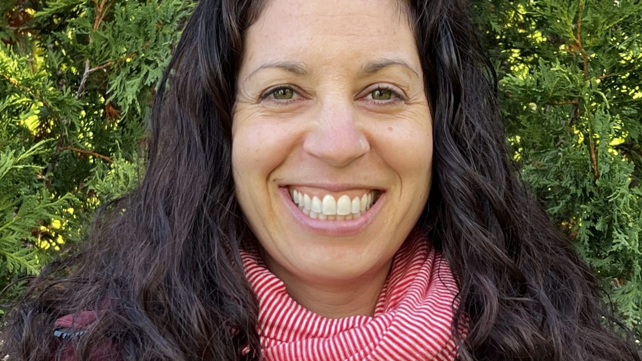 About Our Team - Davis Studio VT